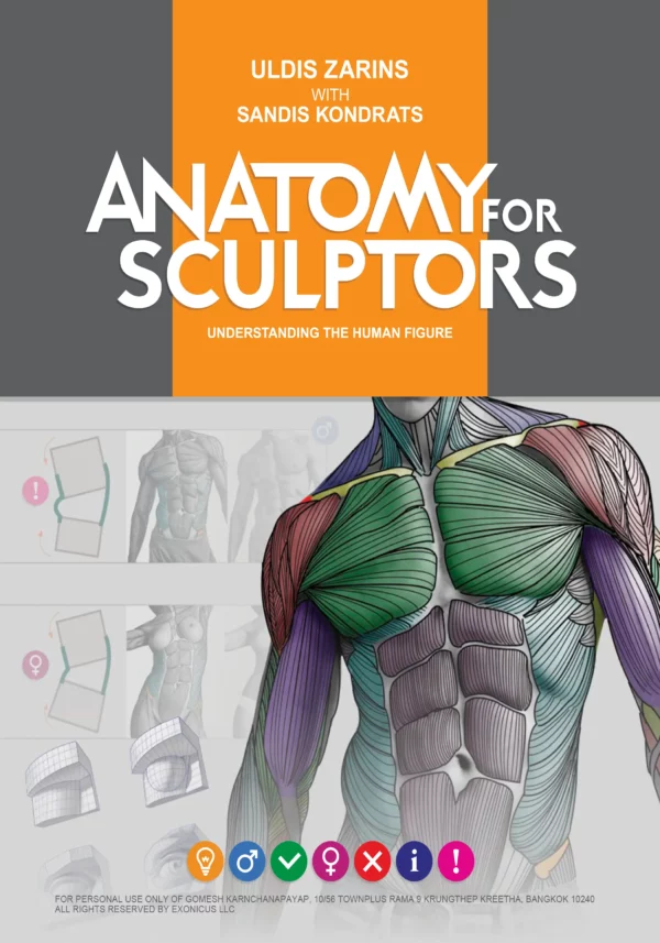 Anatomy For Sculptors: Understanding the Human Figure – Digital Delights