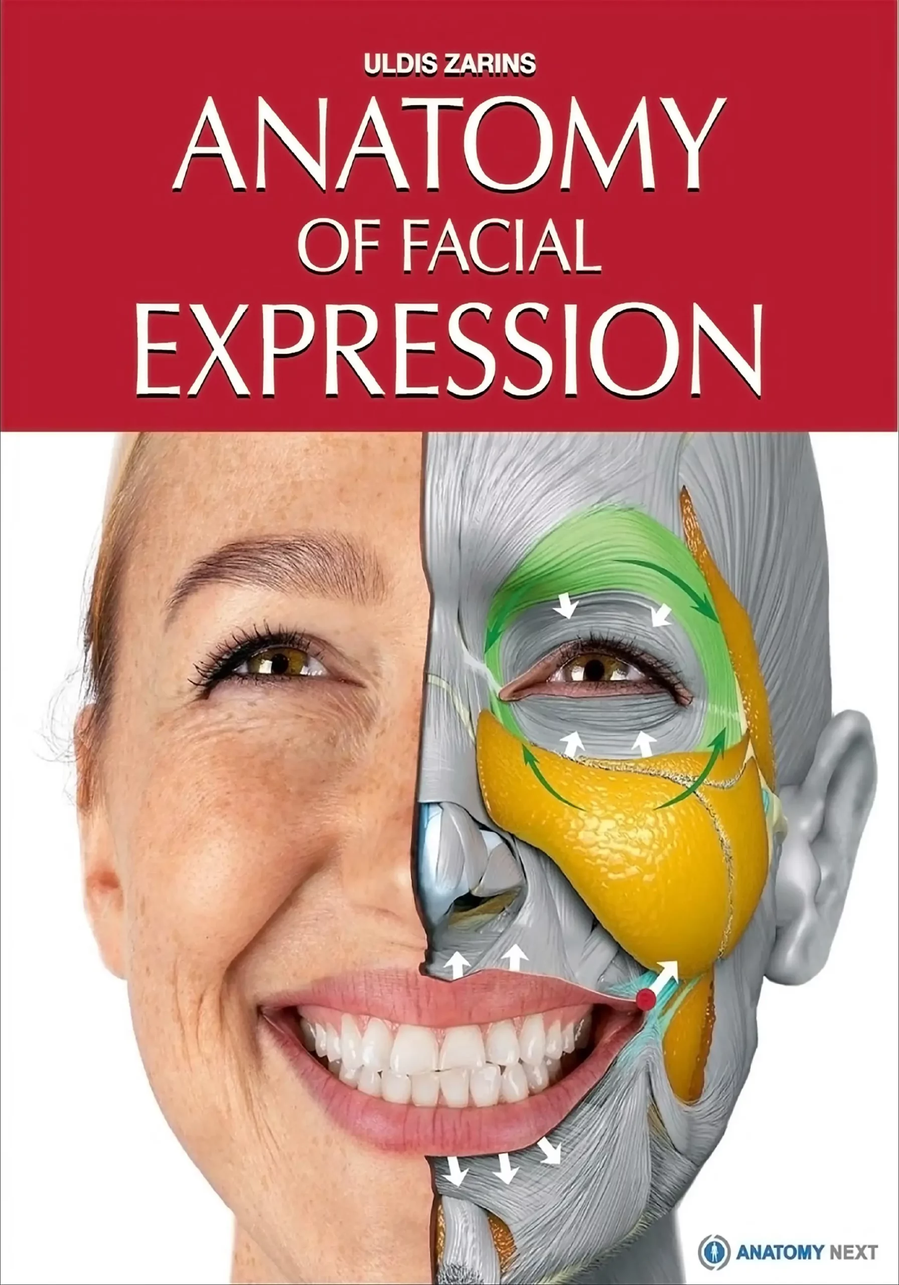 Anatomy of Facial Expressions - Digital Delights